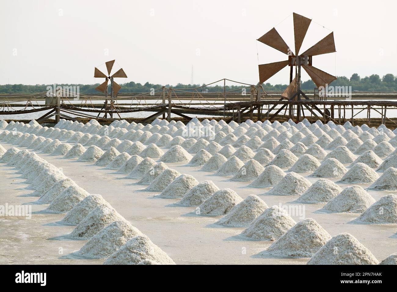 Amazing Salt Farm with Hand Harvested Raw Salt Piles in Petchaburi ...