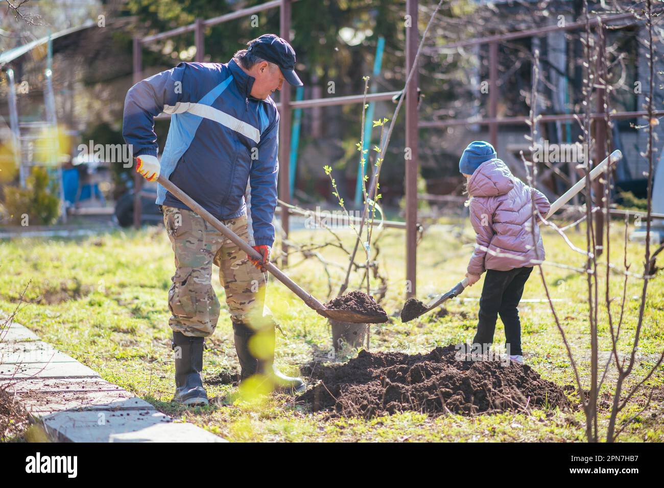 Happy father and daughter planting a new tree in the village Stock Photo - Alamy