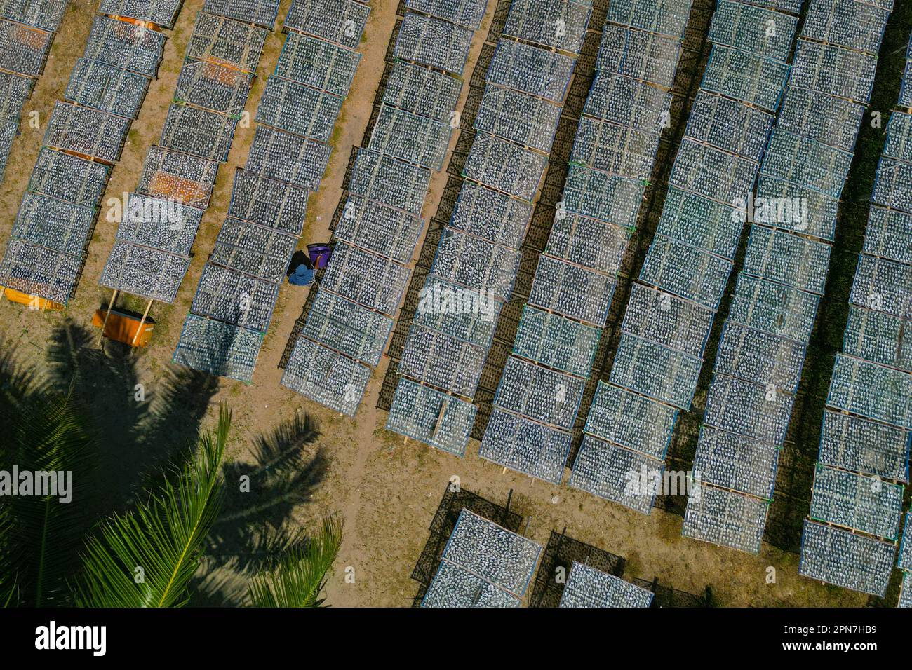 Aerial fish farm sea during hi-res stock photography and images - Alamy