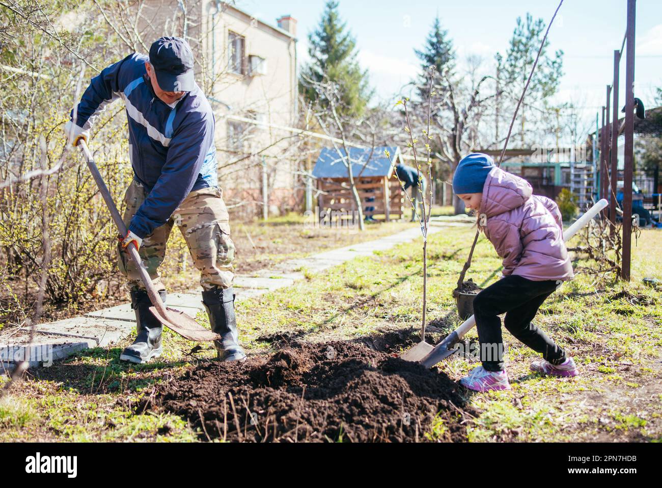 Happy father and daughter planting a new tree in the village Stock ...
