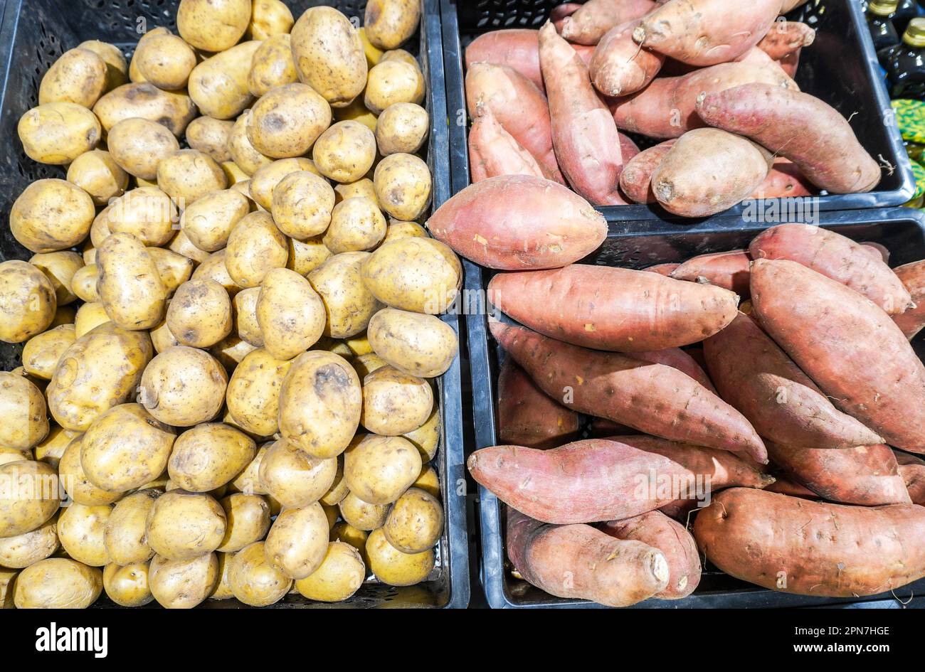 Sweet Potato Boxes For Sale at Wade Arnold blog