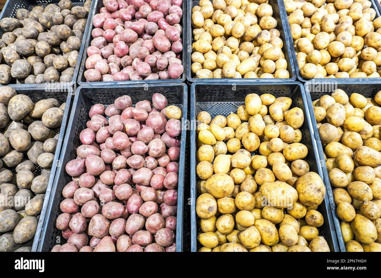 Fresh organic potatoes of various varieties in plastic boxes are sold ...