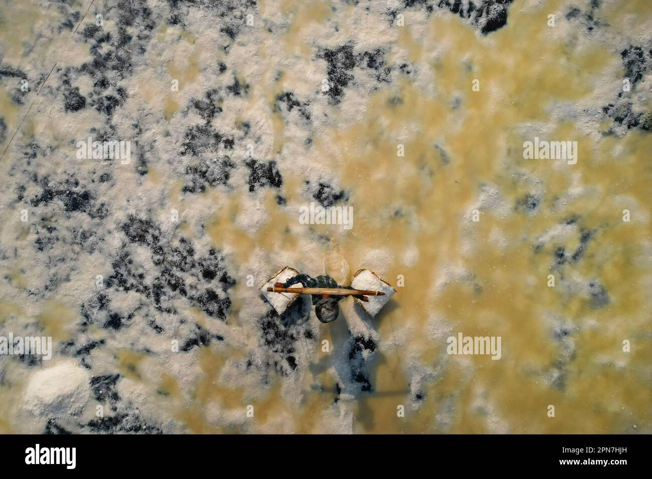 Aerial view of worker harvesting salt in salt field at Ban Laem ...