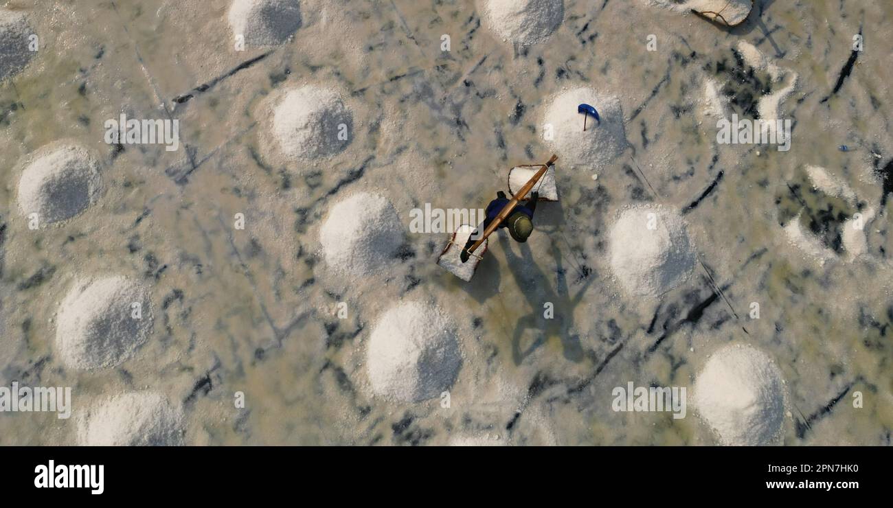 Aerial view of worker harvesting salt in salt field at Ban Laem ...