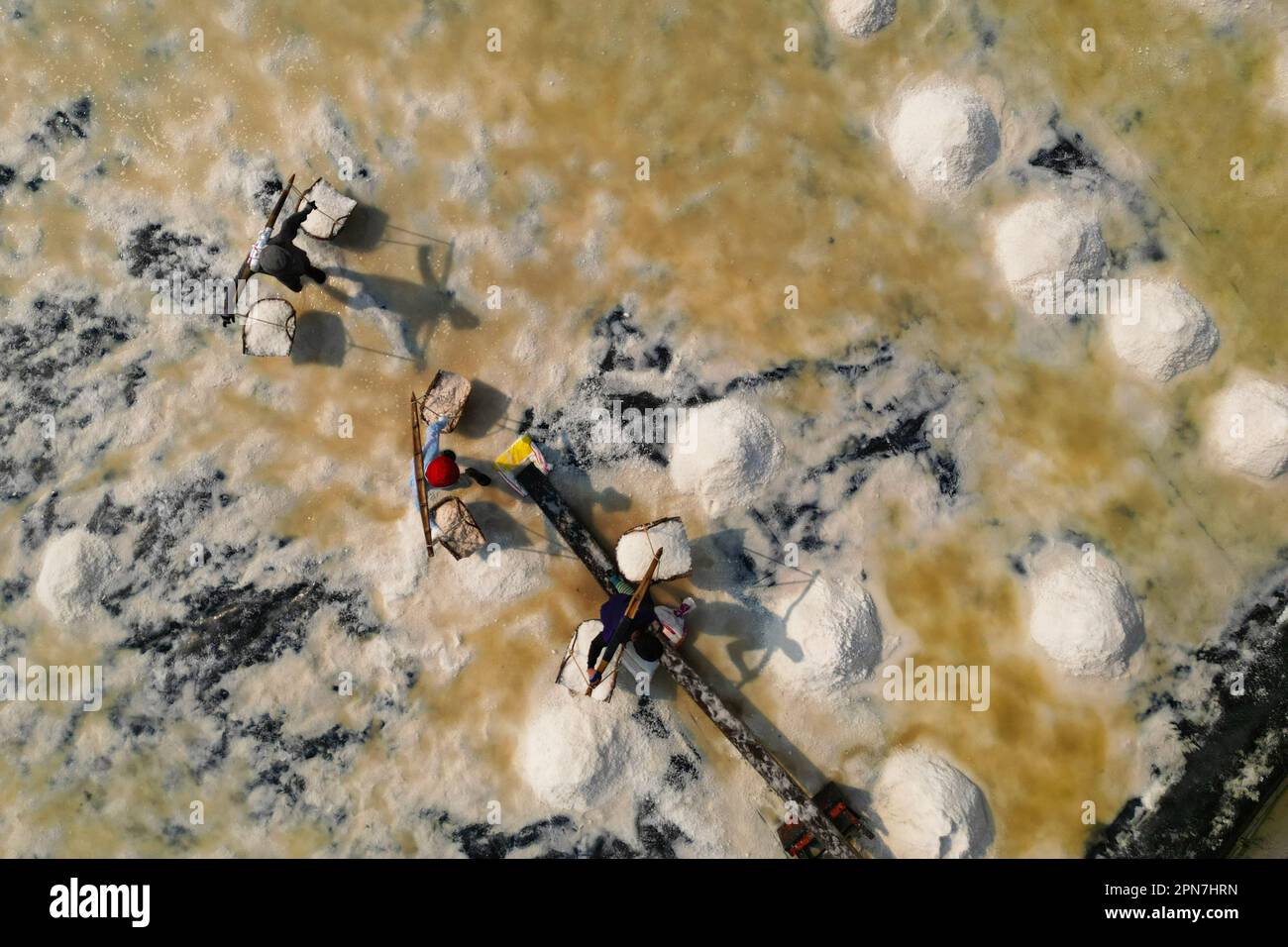 Aerial view of worker harvesting salt in salt field at Ban Laem ...