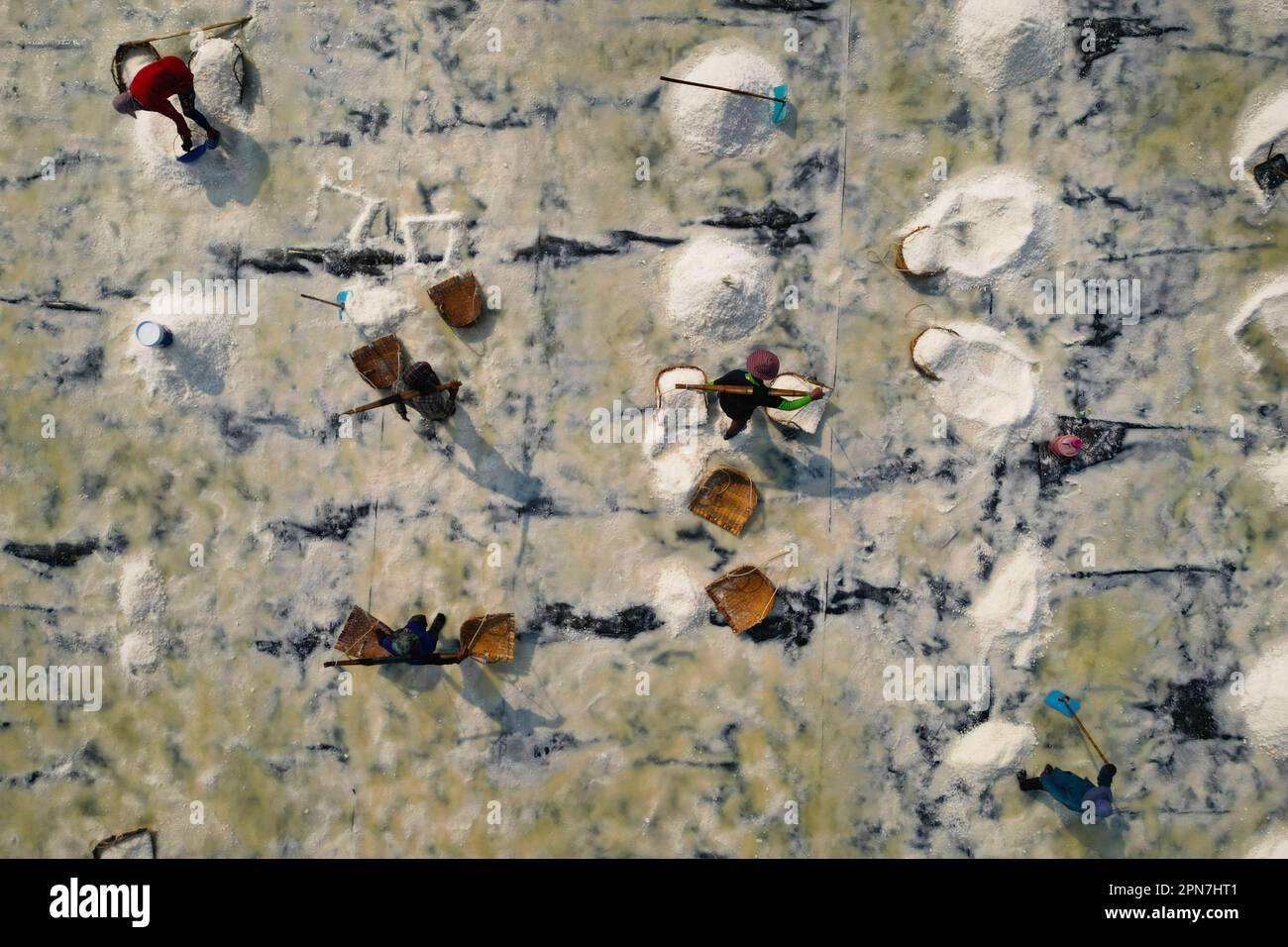 Aerial view of worker harvesting salt in salt field at Ban Laem ...