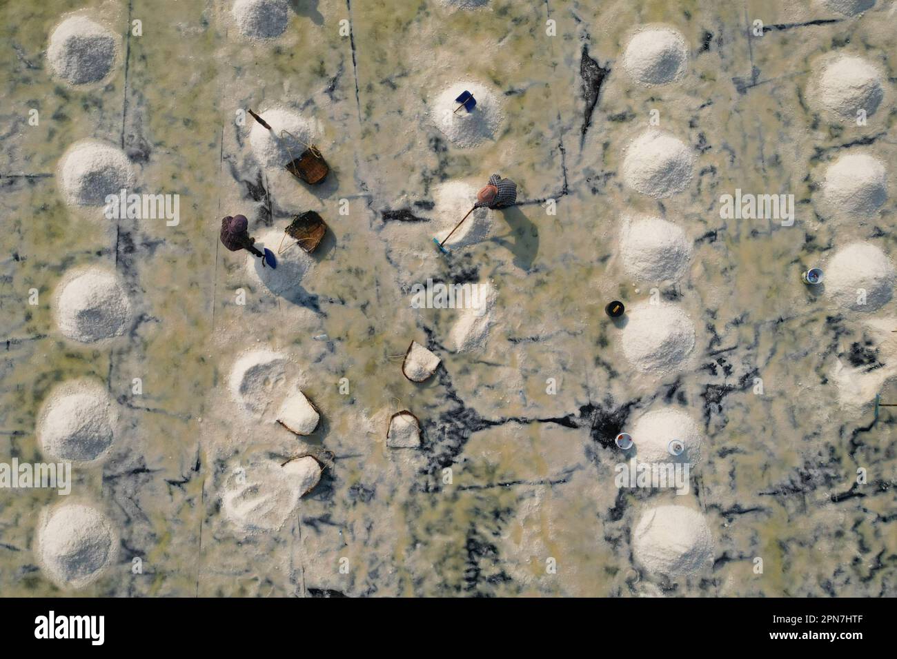 Aerial view of worker harvesting salt in salt field at Ban Laem ...