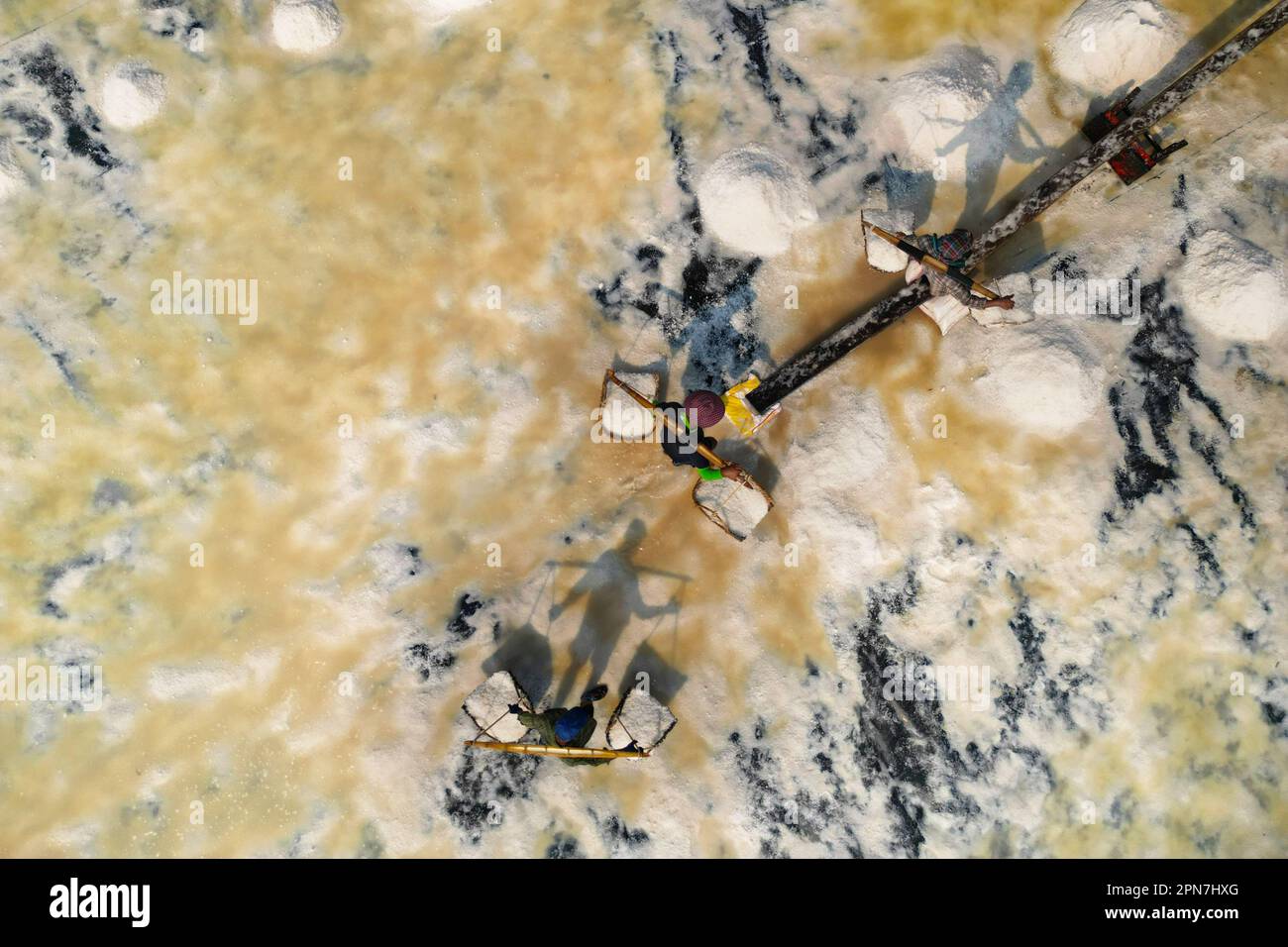 Aerial view of worker harvesting salt in salt field at Ban Laem ...