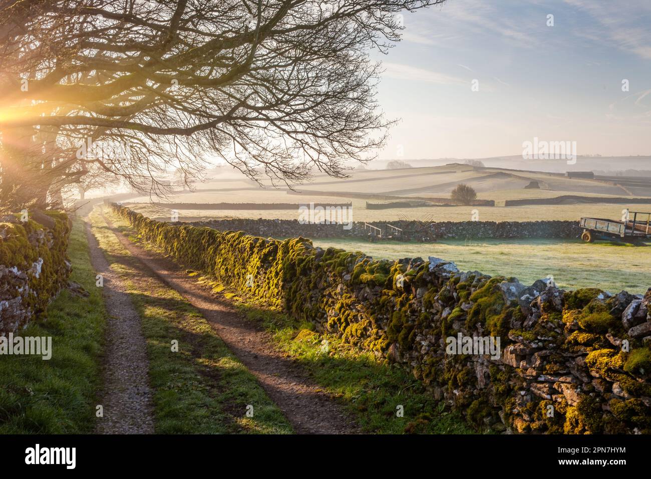 Peak District dawn sunrise along a track with dry stone walls and ...