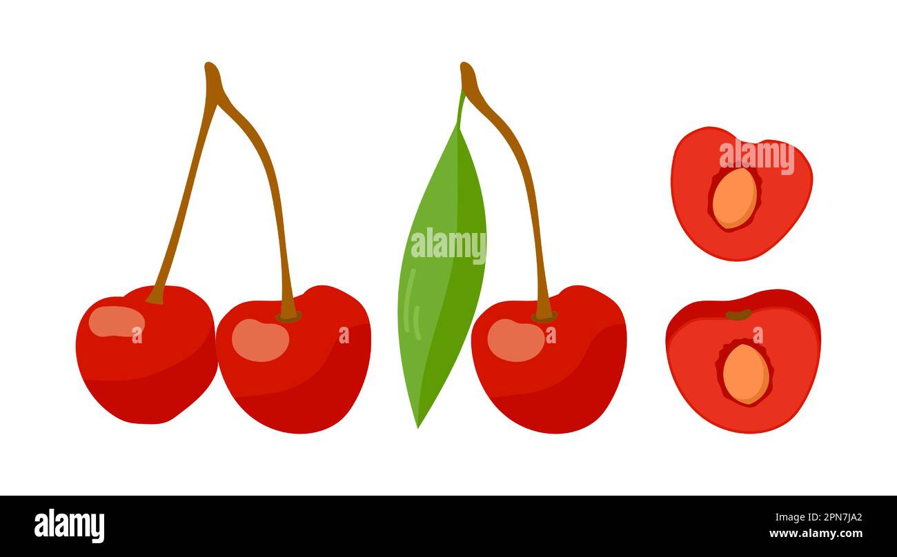 Half cherry stem Stock Vector Images - Alamy