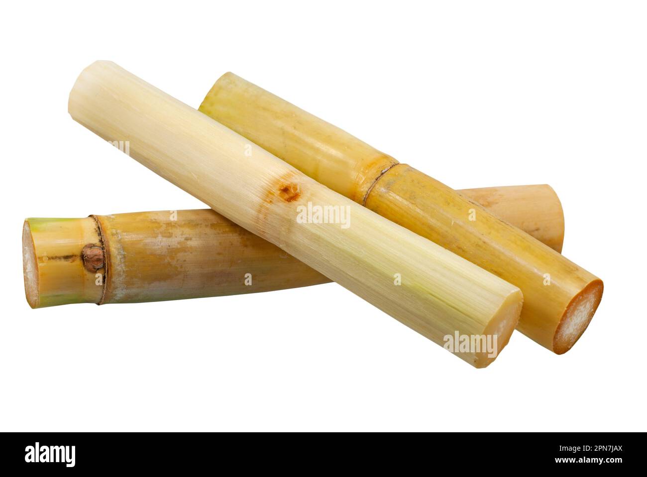 Single object of Sugar cane isolated on white background Stock Photo ...