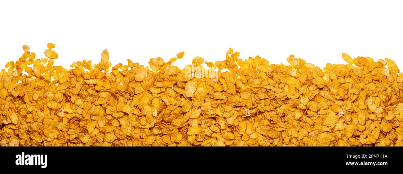 a heap of corn flakes with white background for banner, panorama or ...