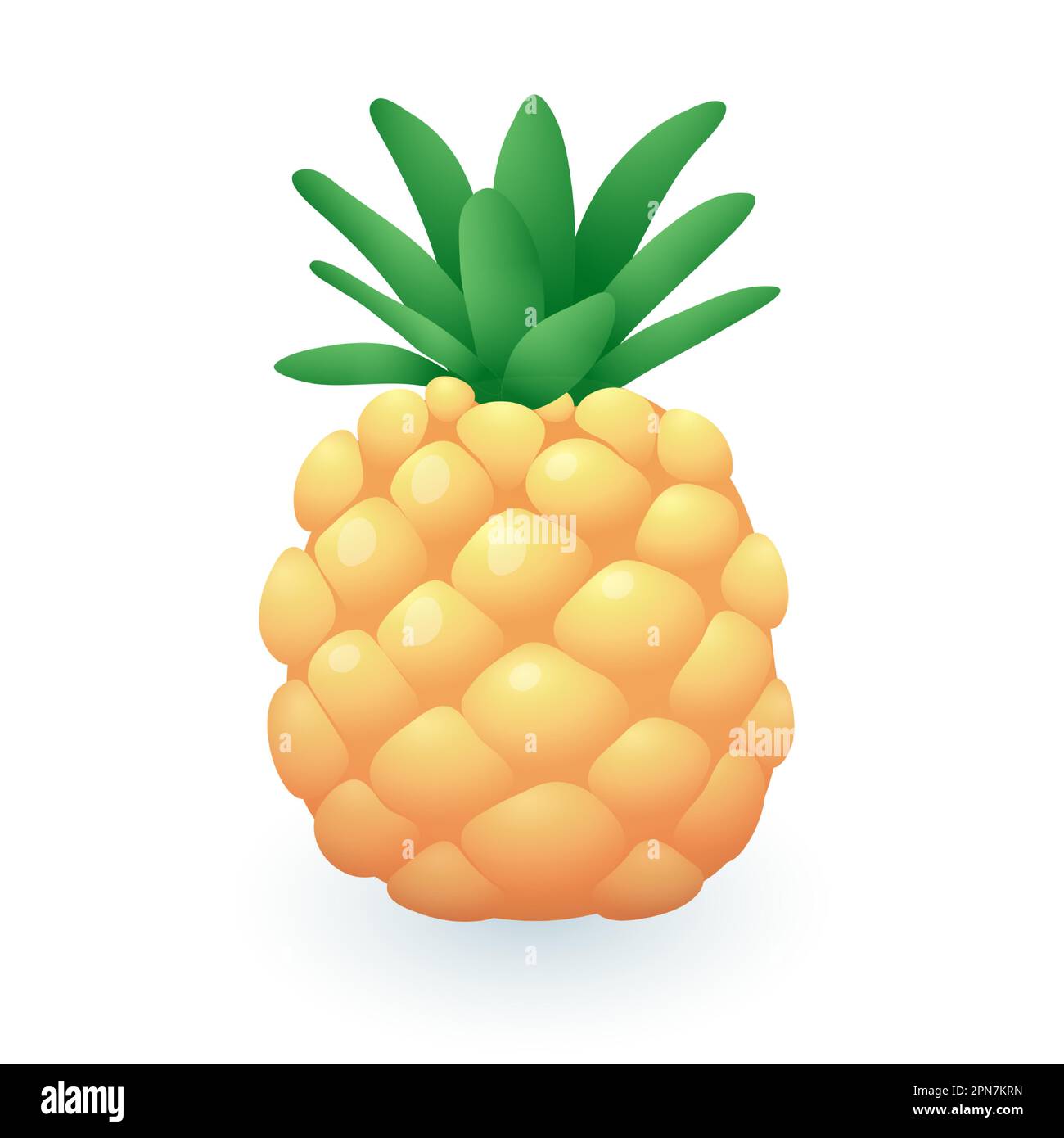 Pineapple leaves white background Stock Vector Images - Alamy