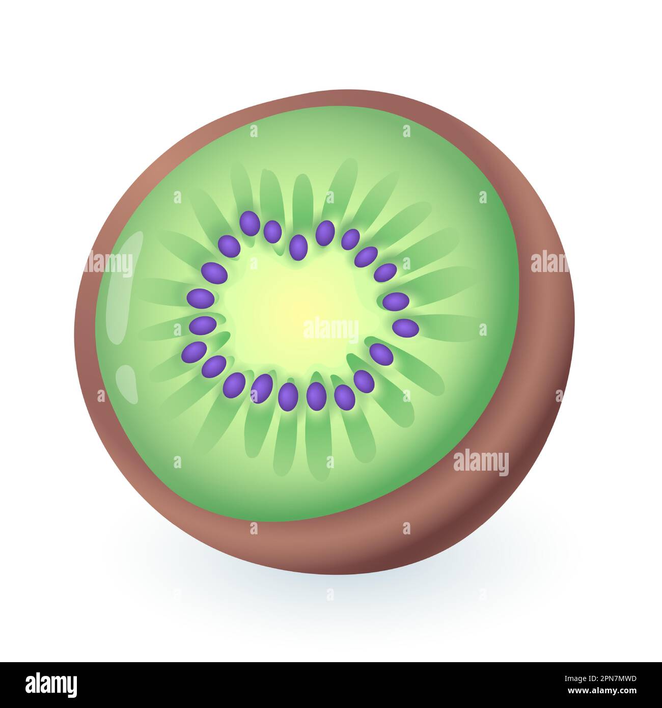 Half kiwi with skin and ripe antioxidant pulp 3D icon Stock Vector ...