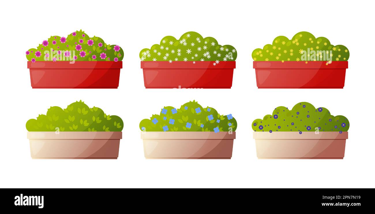 Green plants in colorful flower boxes vector illustrations set Stock ...