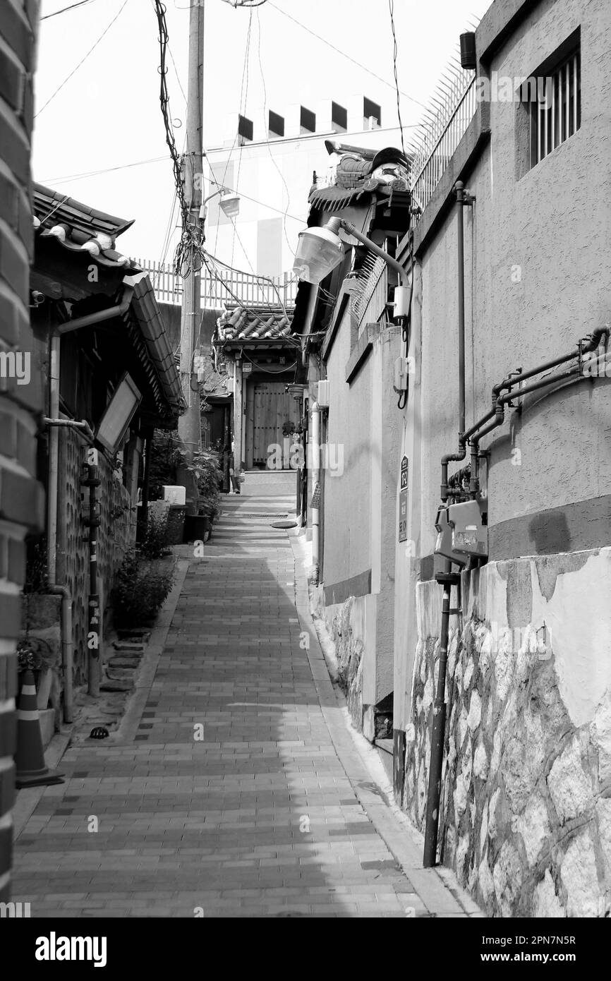 Pathway leading Black and White Stock Photos & Images - Alamy