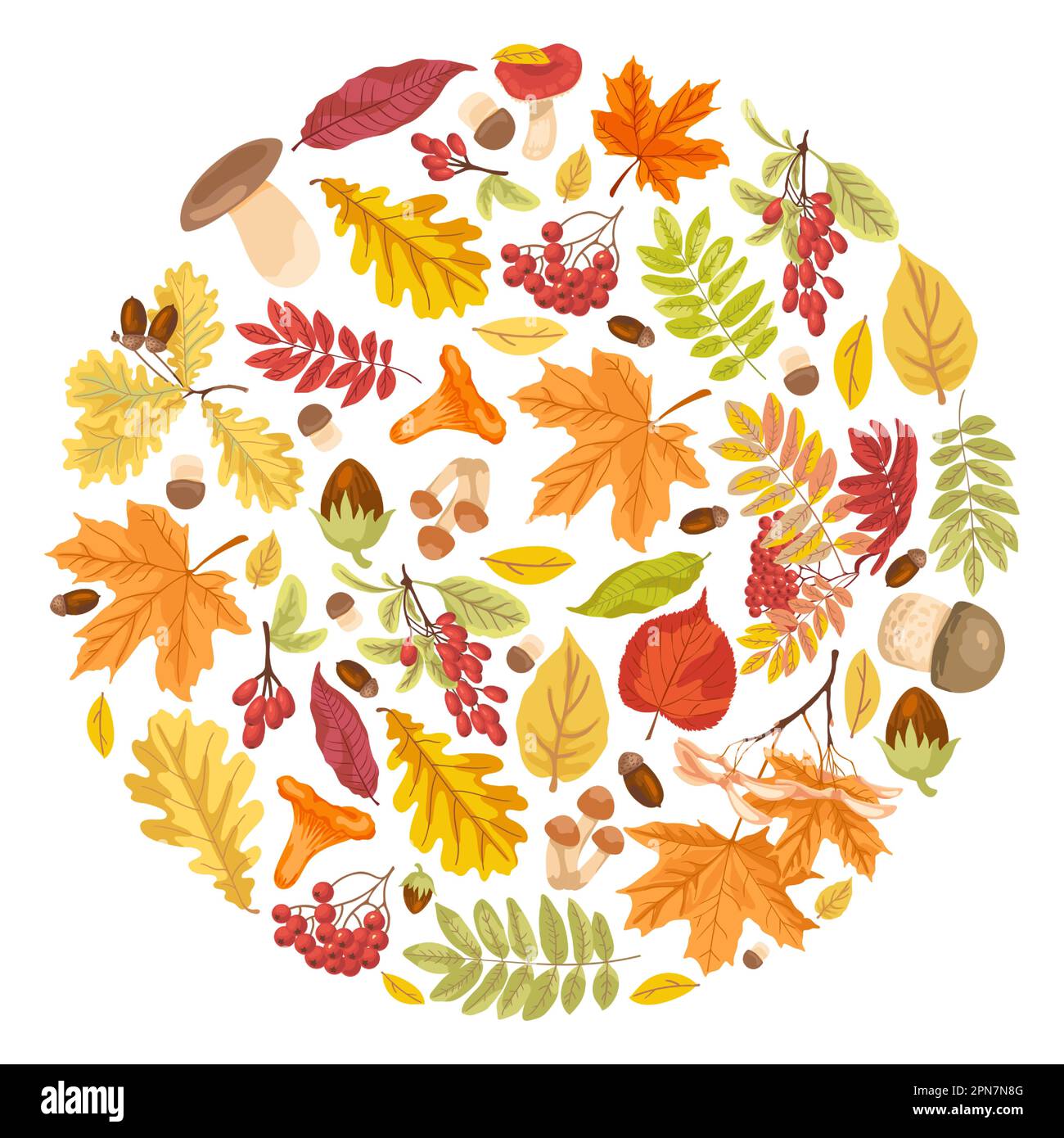 Autumn symbols in circle hi-res stock photography and images - Alamy