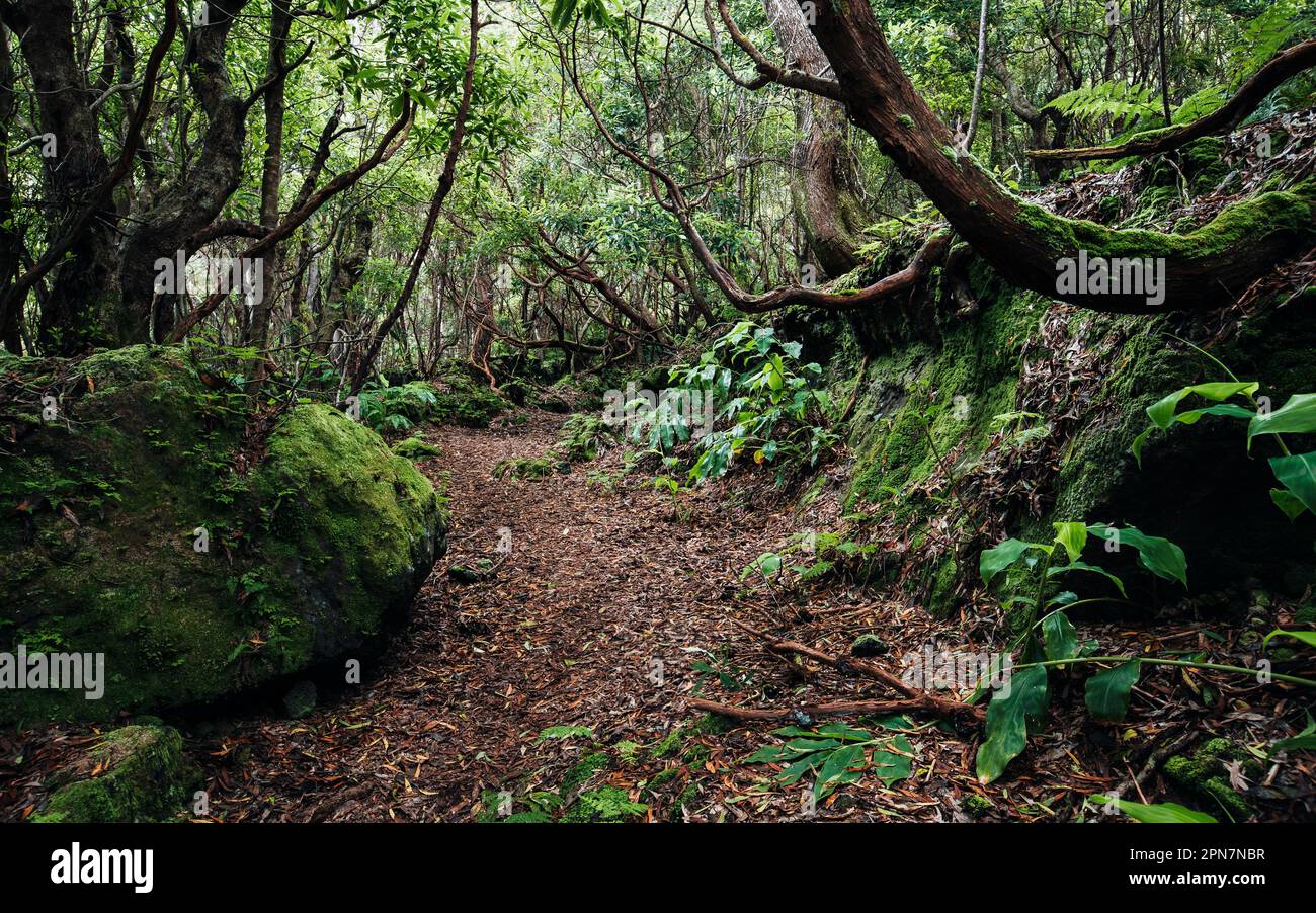 Serreta lagoinha trail hi-res stock photography and images - Alamy