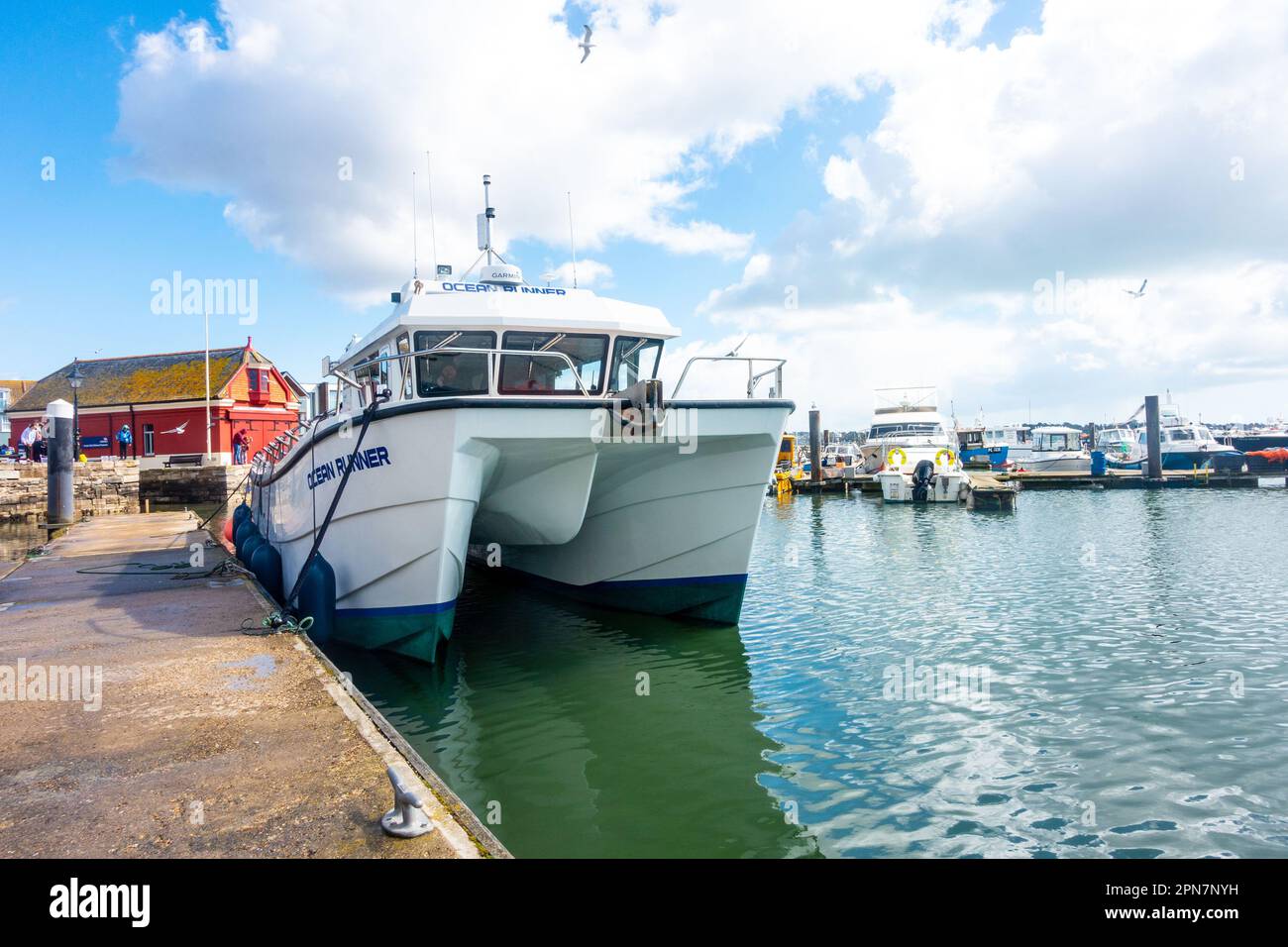 Boats moored to pontoons in Poole Harbour in Dorset, UK Stock Photo - Alamy