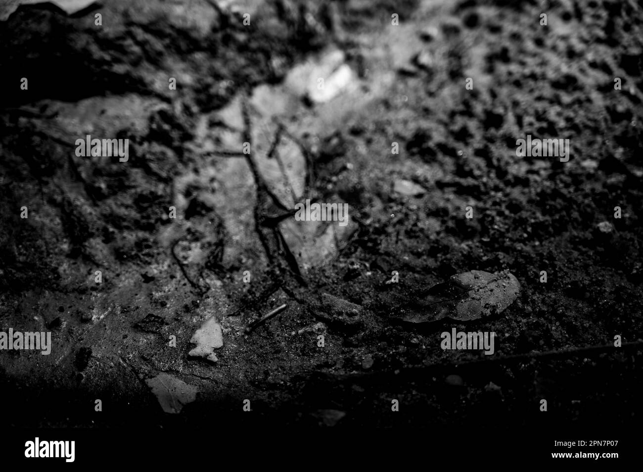 Creek native american indian Black and White Stock Photos & Images - Alamy