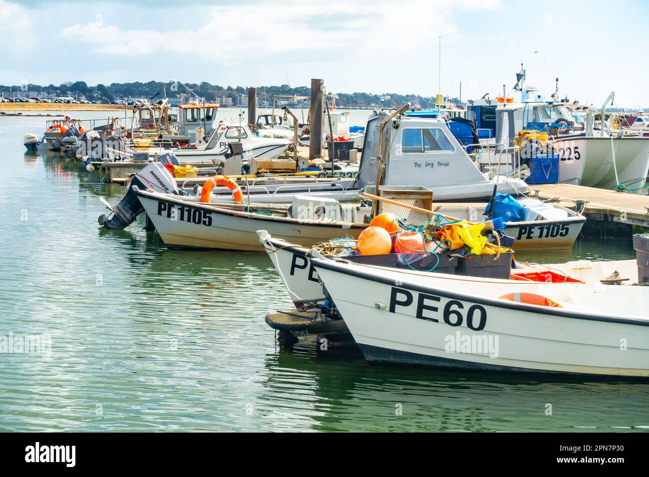 Boats moored to pontoons at Fisherman's Dock in Poole Harbour in Dorset ...