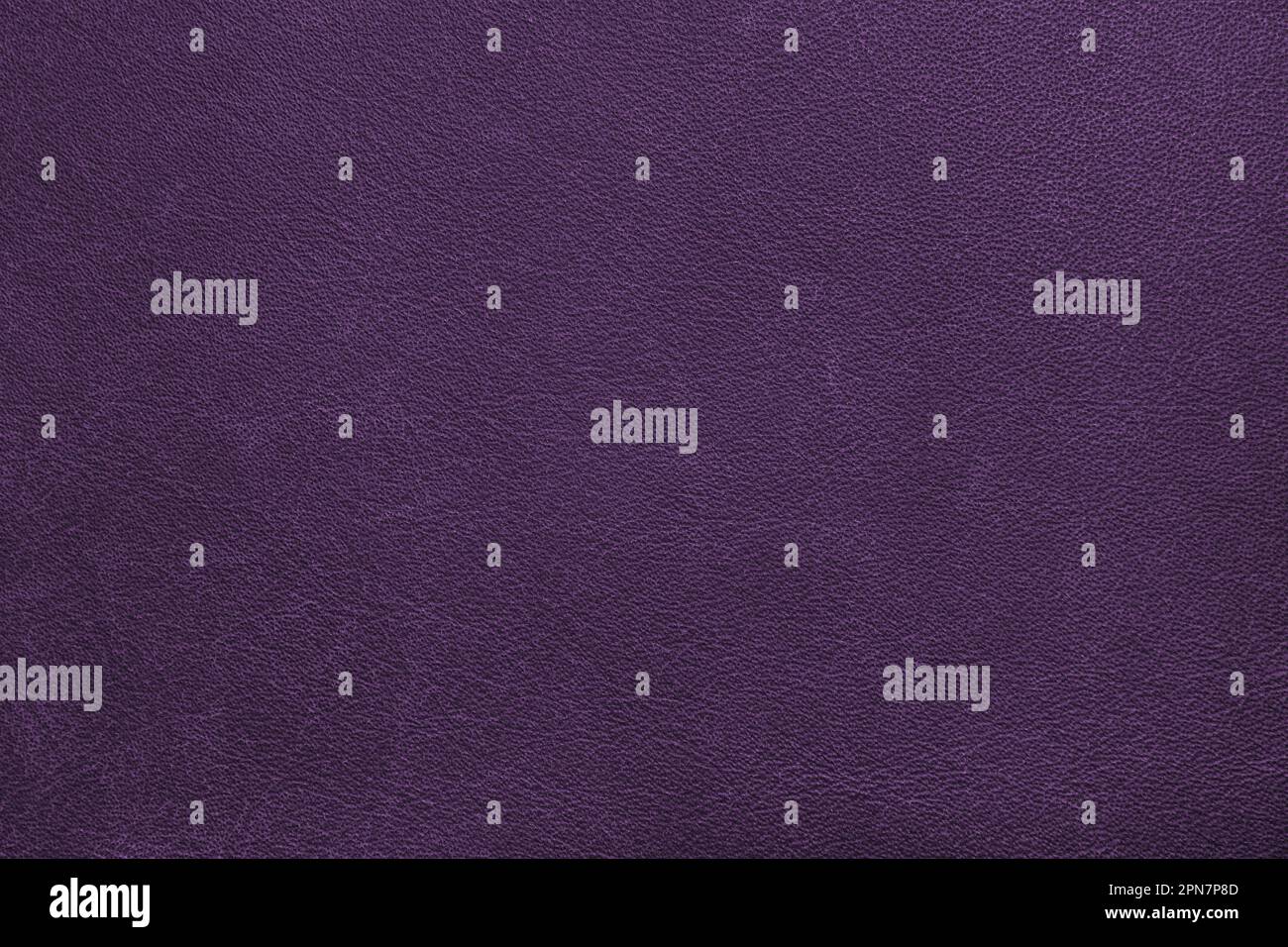 Genuine, natural, artificial violet leather texture background. Luxury ...