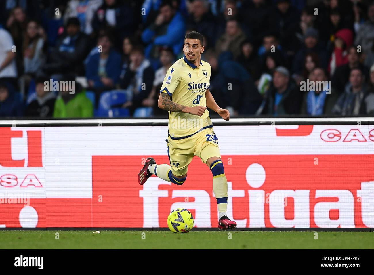 Filippo Terracciano of Hellas Verona in action during the Serie A match ...