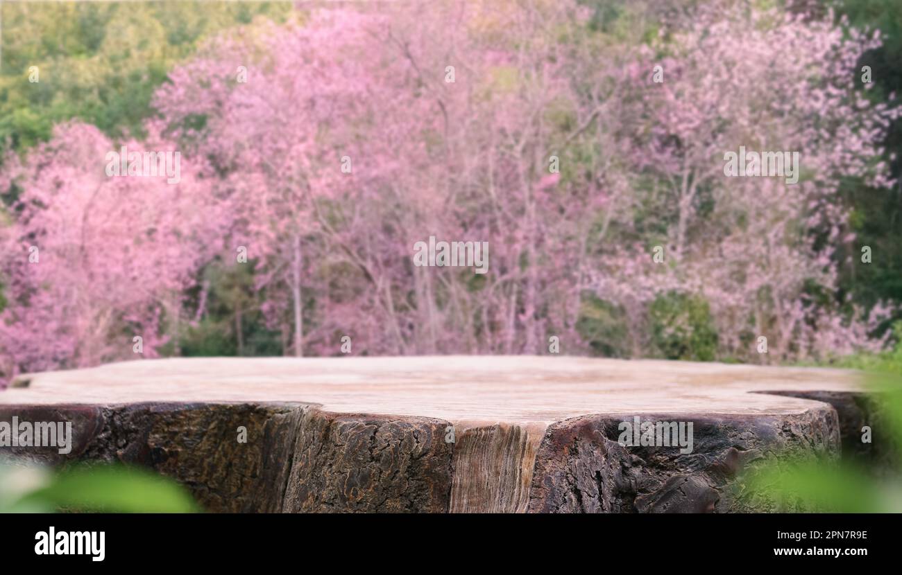 Wood podium tabletop floor in outdoors with pink sakura tree and green ...