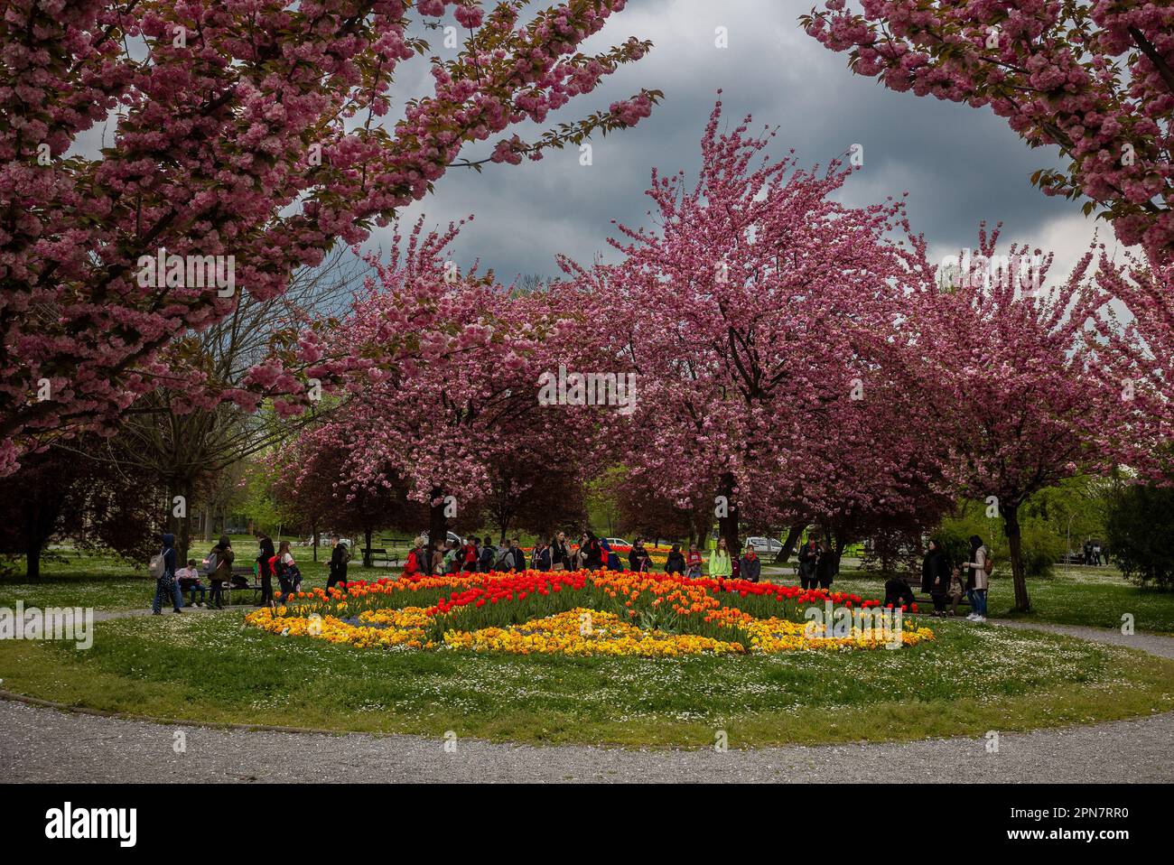 Osijek, Croatia. 17th Apr, 2023. Photo taken on April 17, 2023 shows ...