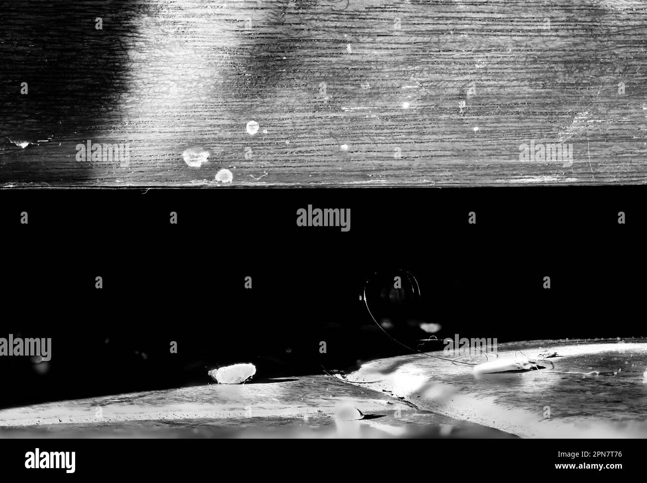 photo-stack macro of dirt and dust under a kitchen cabinet on tile ...