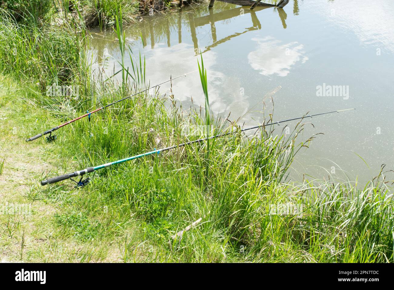 Grass rods hi-res stock photography and images - Alamy