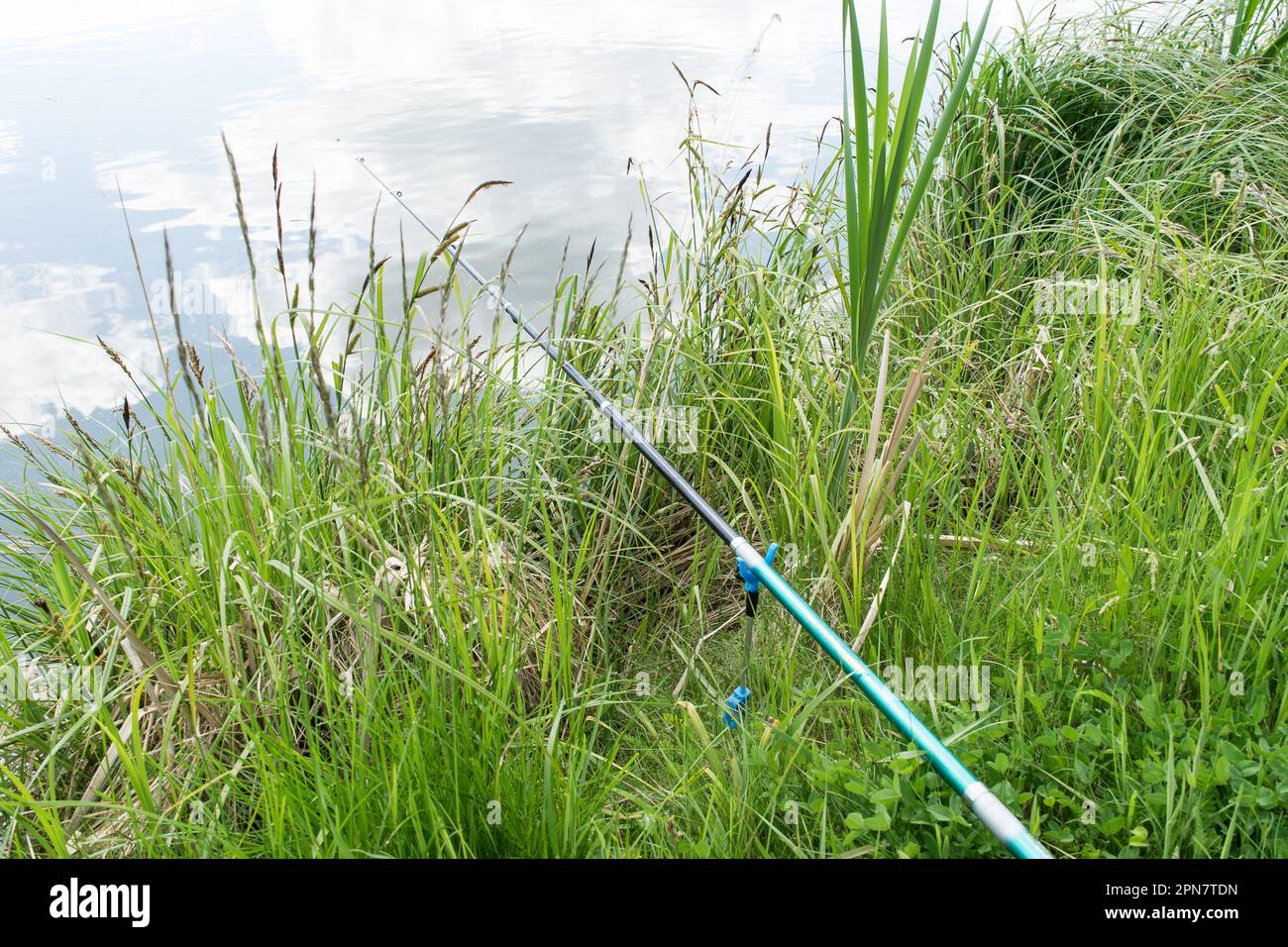 Grass rods hi-res stock photography and images - Alamy