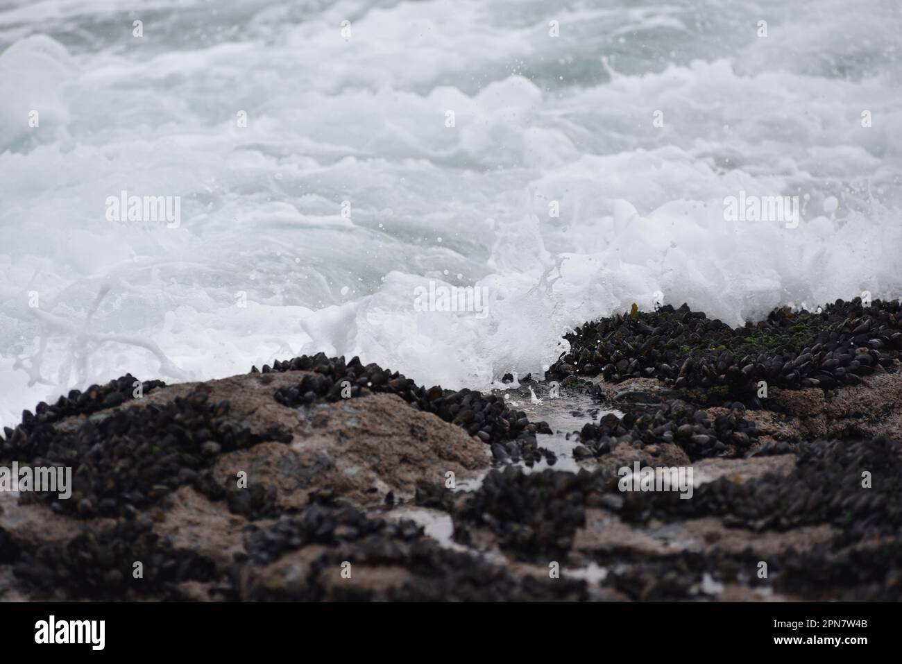 4334 hi-res stock photography and images - Alamy