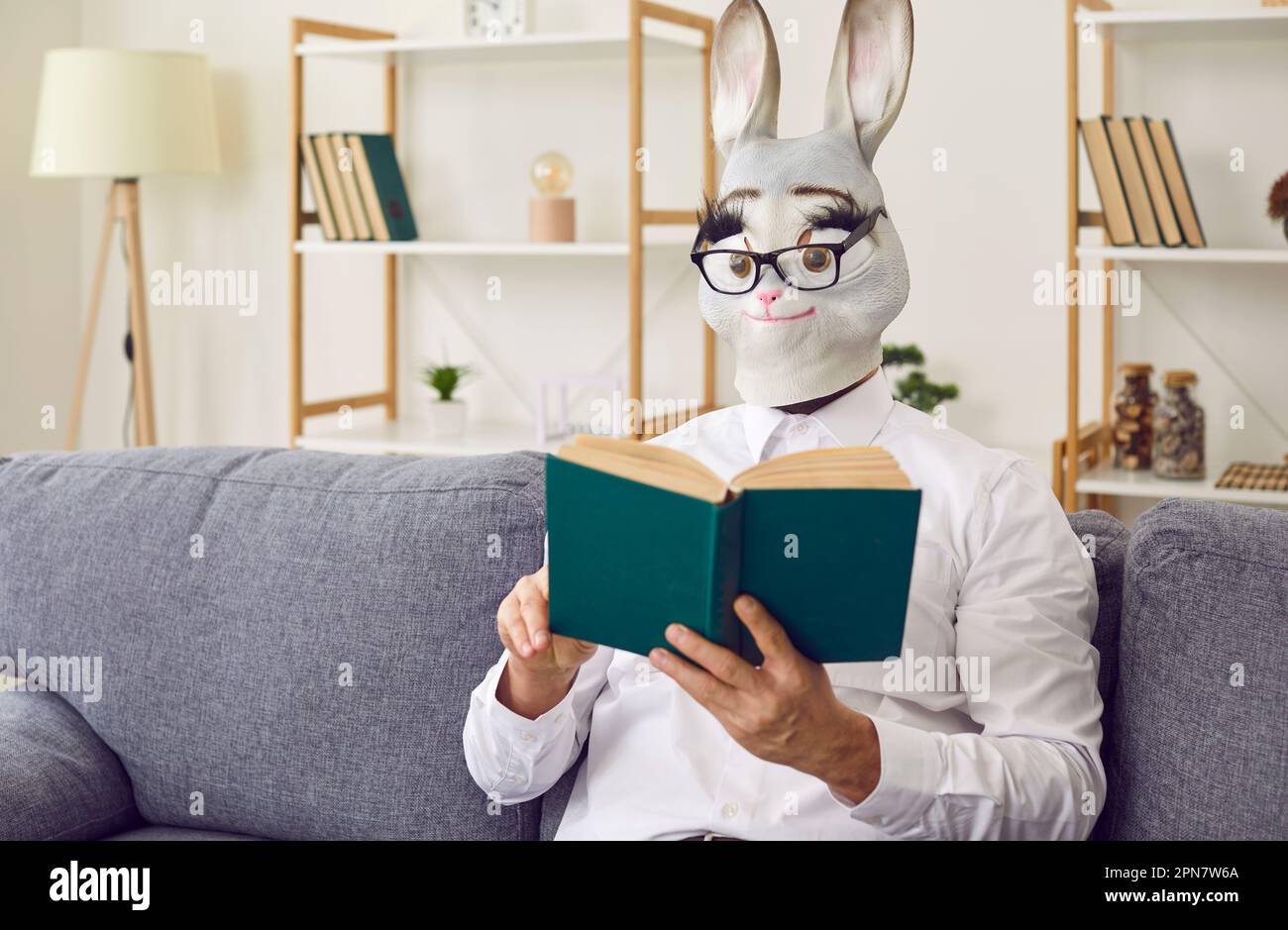 Strange man wearing a funny rabbit mask is sitting on the couch and ...
