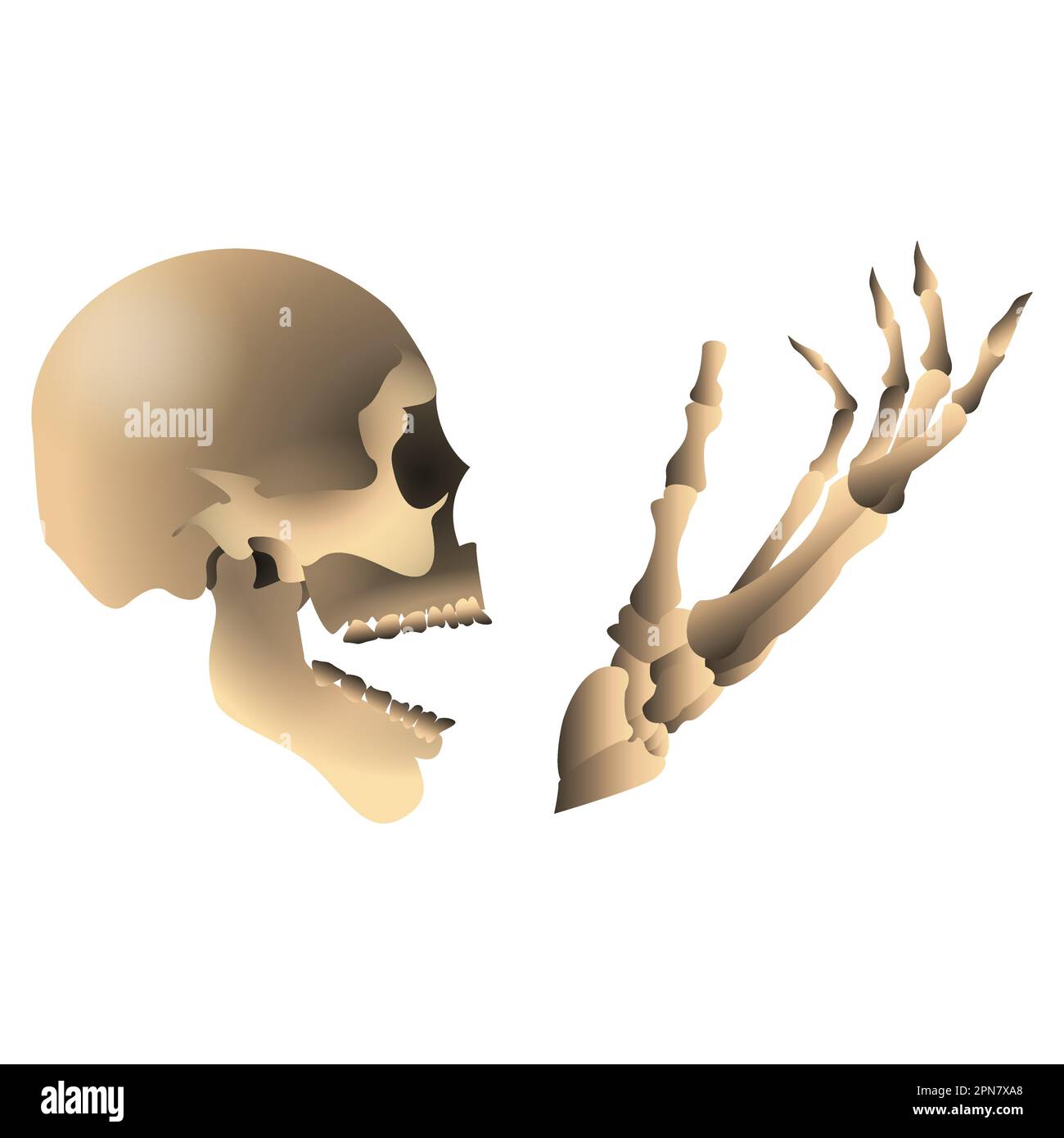 Real Skeleton Hand Pointing