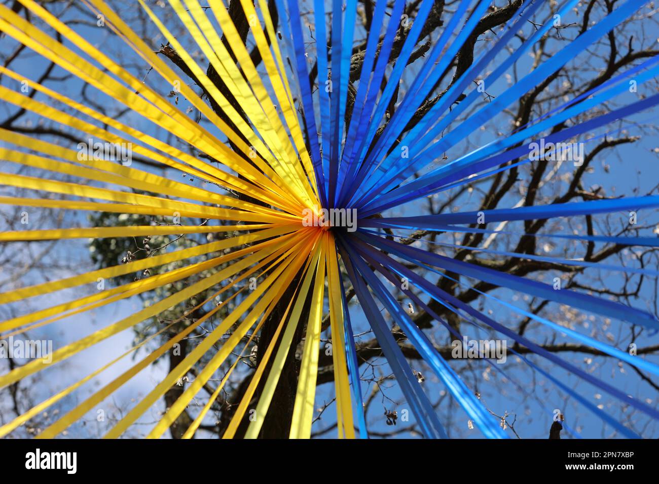 Non Exclusive: IVANO-FRANKIVSK, UKRAINE - APRIL 14, 2023 - Blue and ...