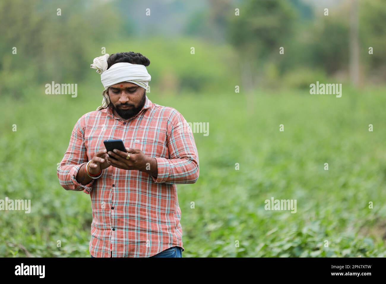 Indian happy farmer loking in smart phone, youg farmer, smart farming ...