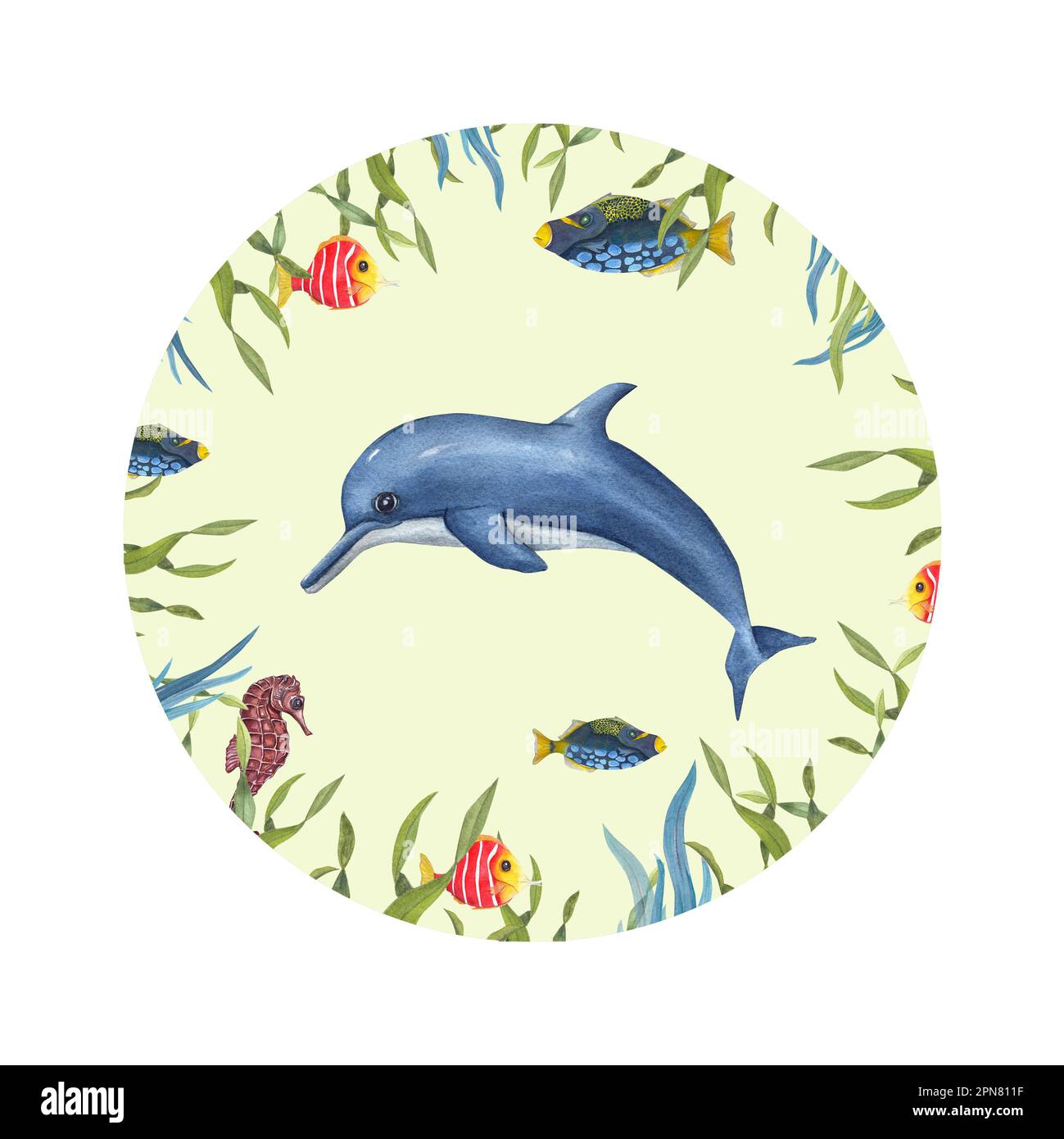 Watercolor frame with dolphin, fish, weeds isolated on white background ...