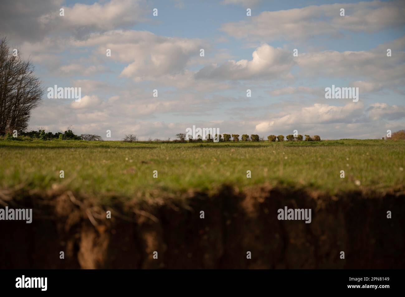 low depth of field with shoreline bank Mersea island and grass with ...