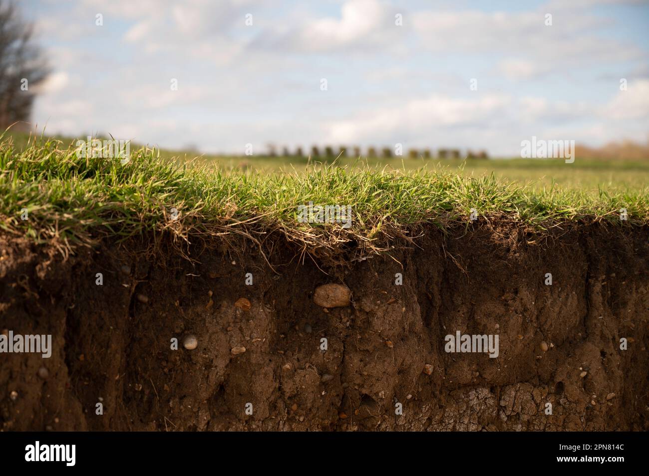 low depth of field with shoreline bank Mersea island and grass with ...