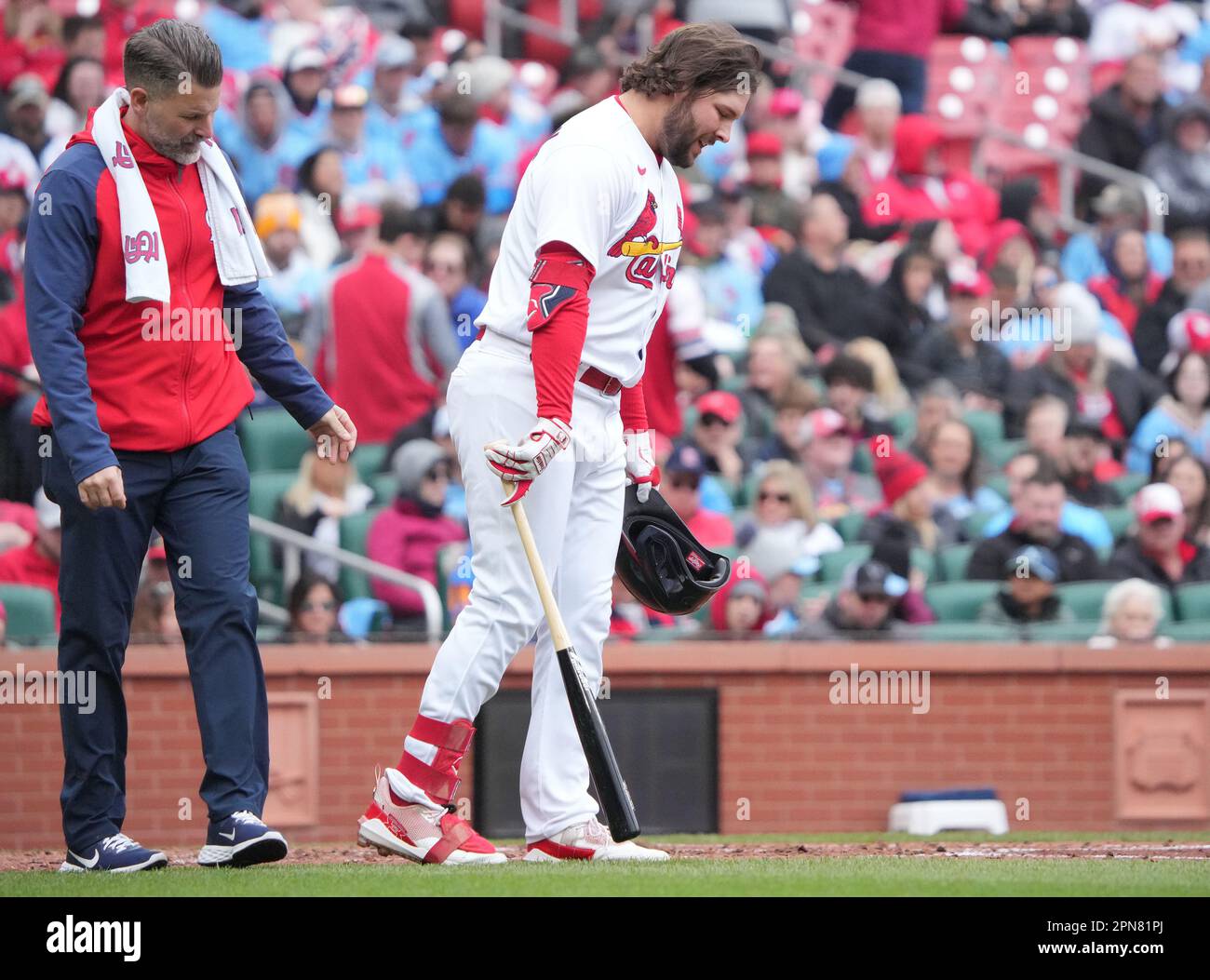 St. Louis Cardinals head trainer Adam O'Neal looks at St. Louis ...