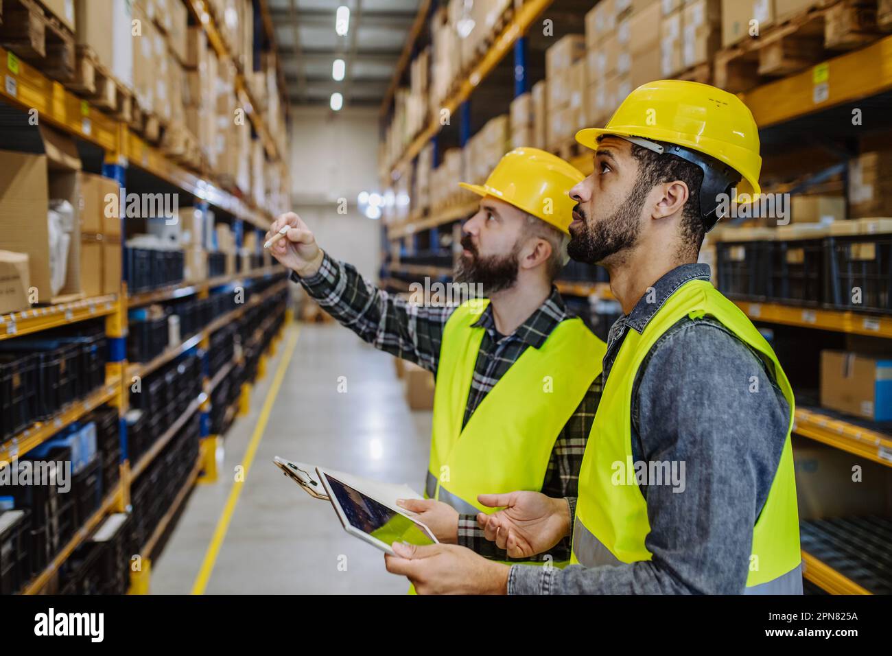 Warehouse workers checking stuff in warehouse with digital system in ...