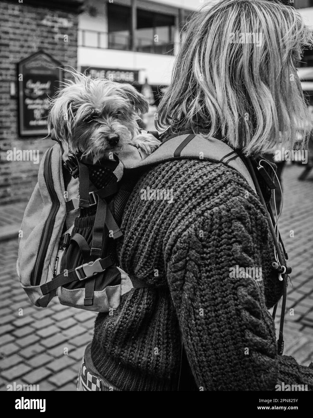 Funny bonding Black and White Stock Photos & Images - Alamy