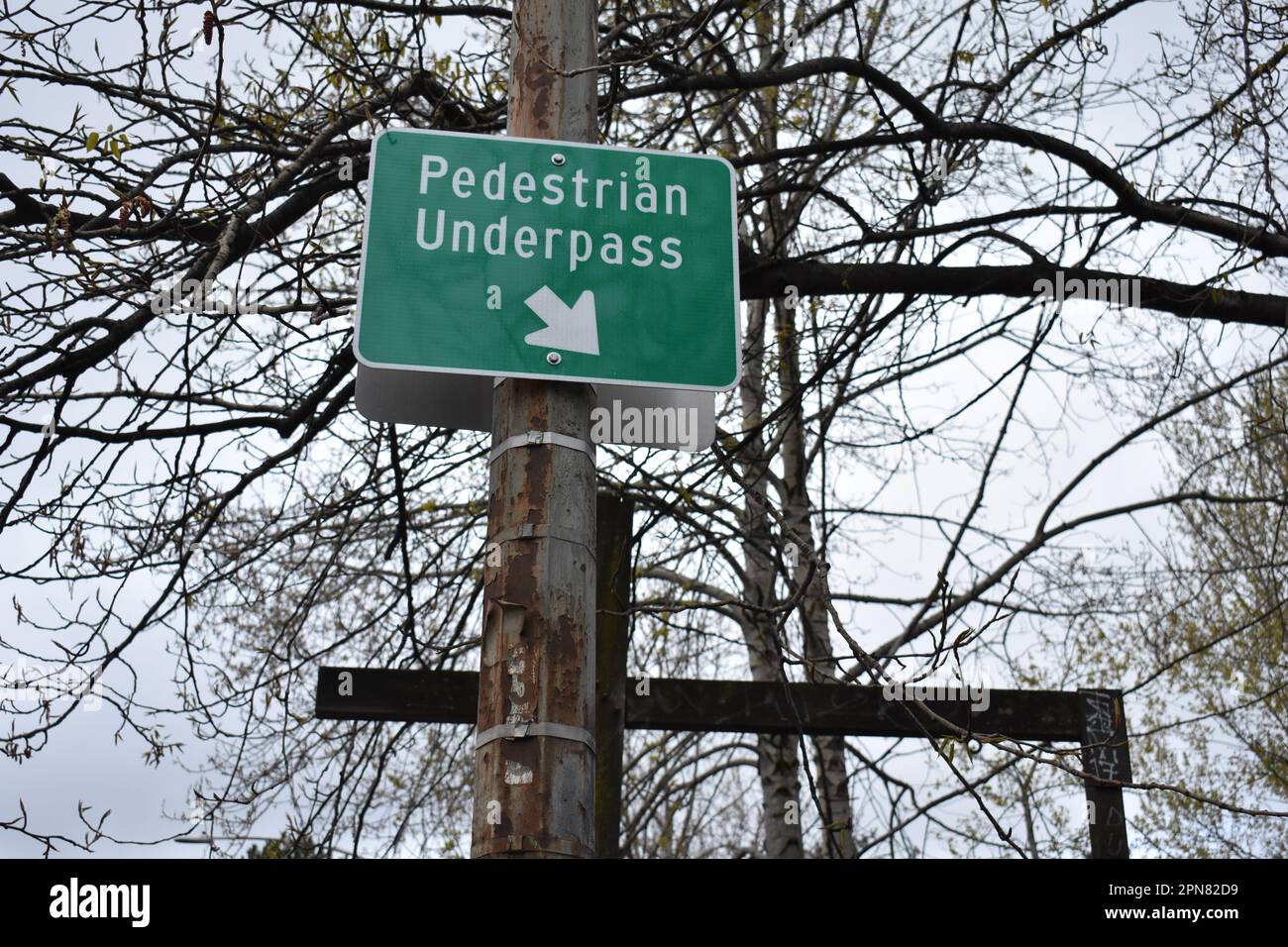 Pedestrian Underpass Green Sign with Arrow on Post in Seattle Stock ...