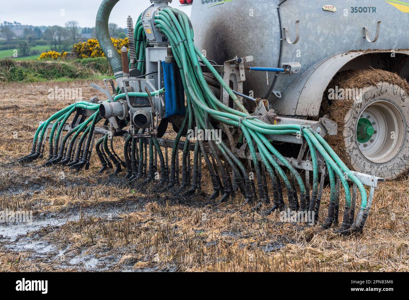 Ballynascubbig, West Cork, Ireland. 17th Apr, 2023. Farmer Liam Ryan ...