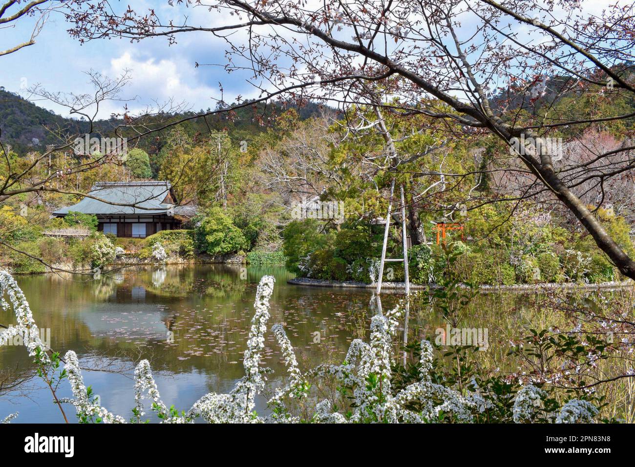 Kyoto, Japan - March 31st 2019, Gardens around Ryoan-ji temple Stock ...