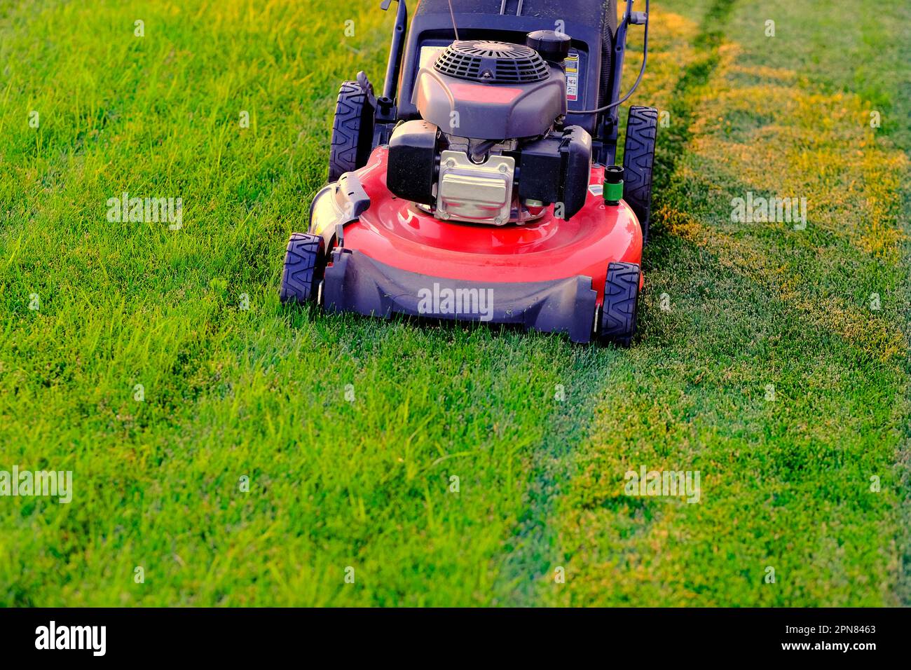 Red lawn mower in lush green grass mowing lawn cutting Stock Photo - Alamy