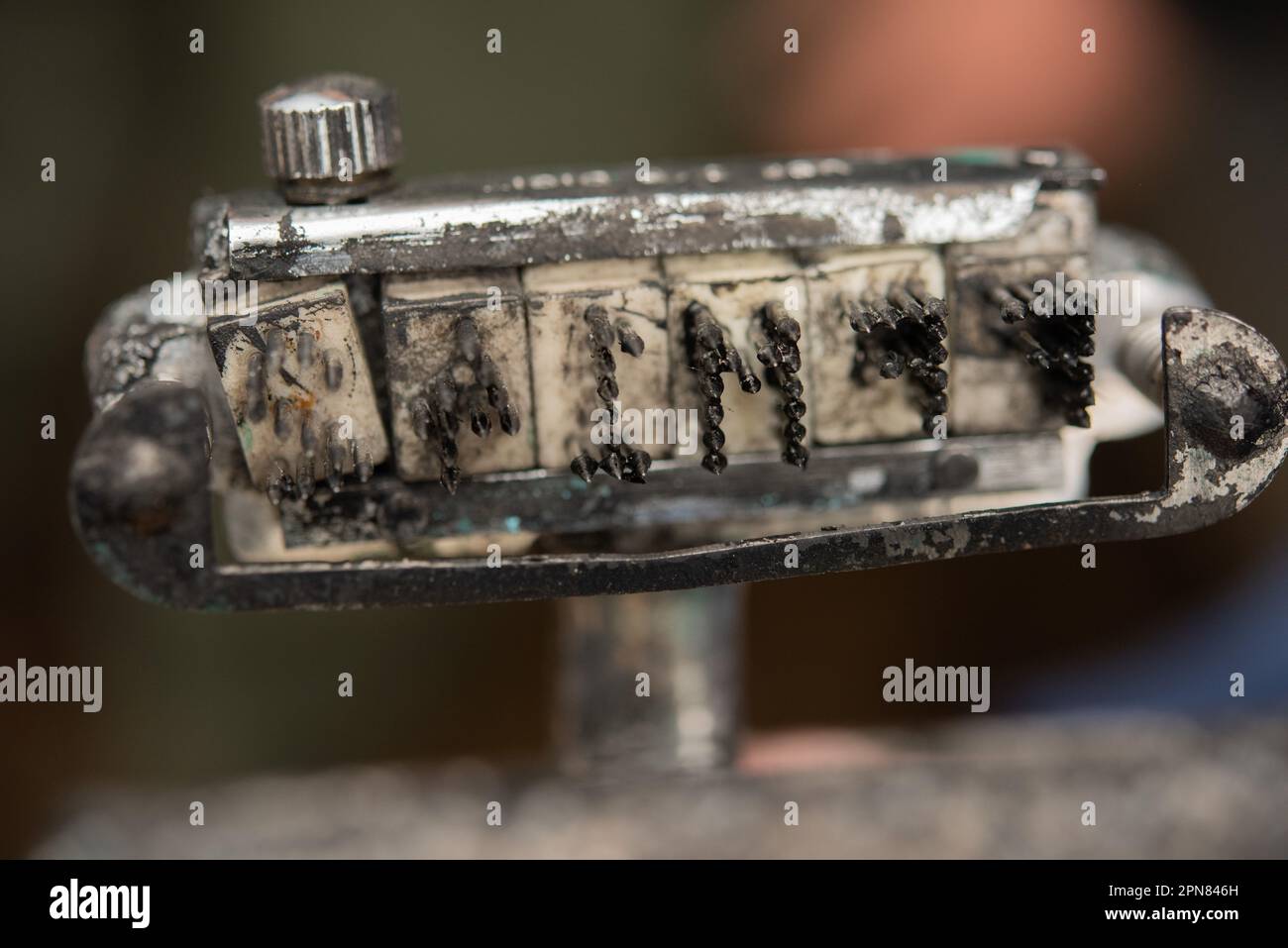 Pig tattoo pliers. These are coated in black ink and a mark is tattooed ...