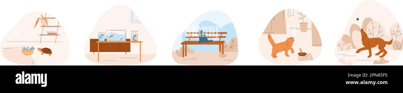 Pets scenes, cute dog walking and playing. Turtle and cat eating, cute ...