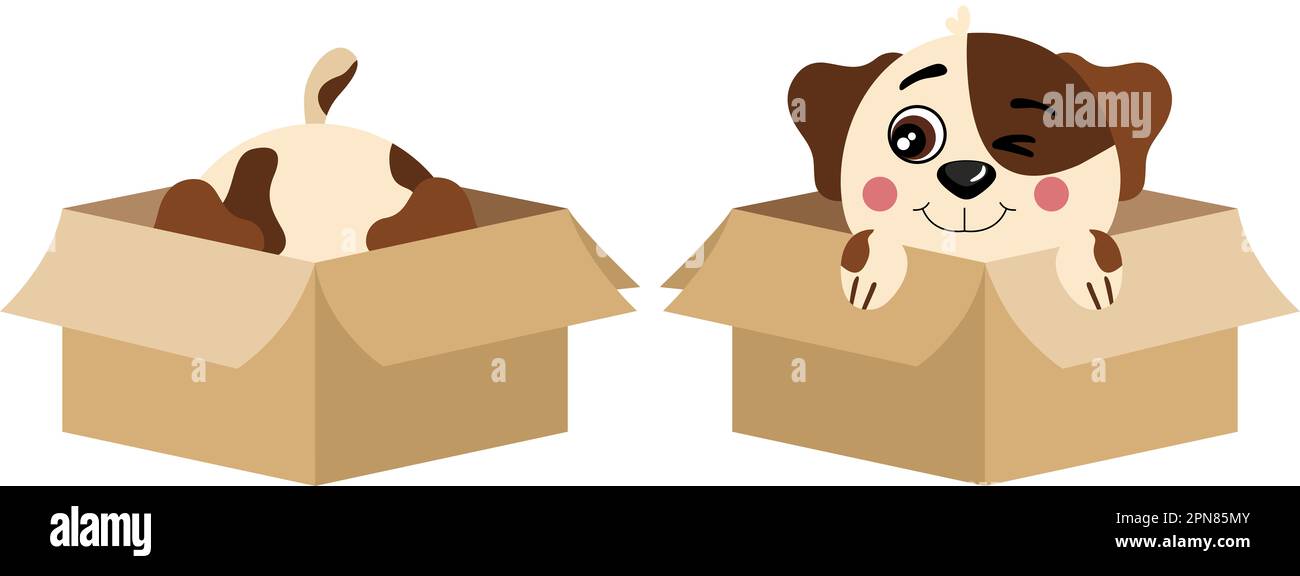 Cute Funny Dog In Cardboard Box Stock Photo Alamy